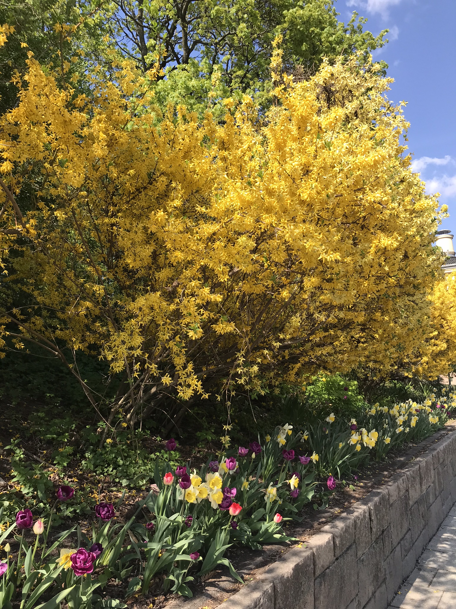 Spring is beautiful in Oslo – My photographic moments